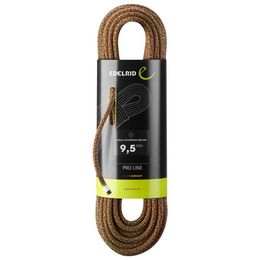 Edelrid - Eagle Lite Protect Pro Dry 9,5 mm - Einfachseil Länge 50 m braun