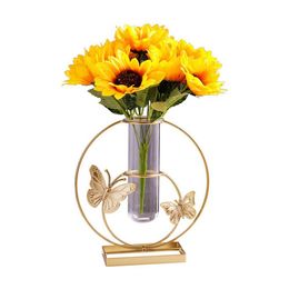 HIBNOPN Dekovase Hydroponic Vase Glas