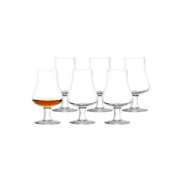 Stölzle Whiskyglas Nosing Glass Whiskygläser 195 ml 6er Set