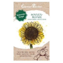 Gärtner Pötschke Sonnenblumensamen Uniflorus Giganteus