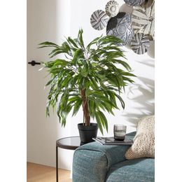 Kunstpflanze Weeping-Ficus, Creativ green, Höhe 80 cm, grün