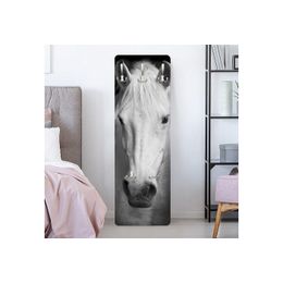 Bilderdepot24 Garderobenpaneel schwarz-weiß Schwarz Weiß Tiere Dream of a Horse Design (ausgefallenes Flur Wandpaneel mit Garderobenhaken Kleiderhaken hängend)