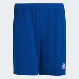 Adidas Entrada 22 Shorts