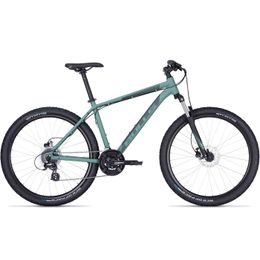 BULLS Wildtail 2 29 - 29 Zoll 24K Diamant - light emerald matt