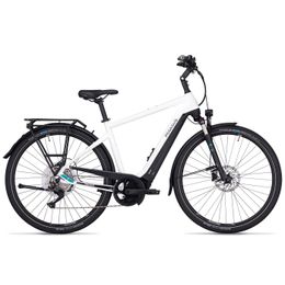 Pegasus Premio Evo 10 Lite 750 - 28 Zoll 750Wh 10K Diamant - metallic off-white/black matt