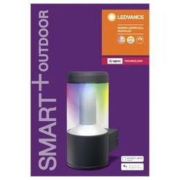 LEDVANCE LED Außen-Wandleuchte Smart+ Outdoor Lantern Wall dunkelgrau