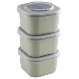 Sunware Food to Go Lunchbox Sigma Home 3er-Set grün