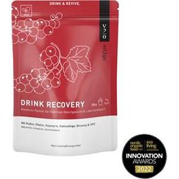 Vit2go Nahrungsergänzungsmittel Elektrolyt-Gleichgewicht & Leberfunktion Drink Recovery Beutel