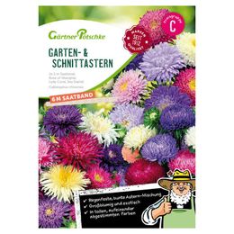 Gärtner Pötschke Saatband-Set Garten- und Schnittastern, 3 x 2 m