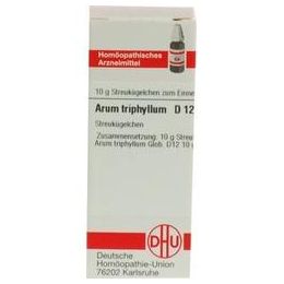 DHU-Arzneimittel ARUM TRIPHYLLUM D 12 Globuli