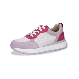 Caprice Sneaker ow Damen Gr&ouml;&szlig;e 38 flieder / fuchsia / offwhite