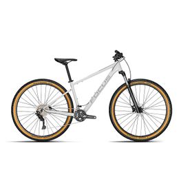 Focus Whistler 3.8 - 29 Zoll 22K Diamant - light grey