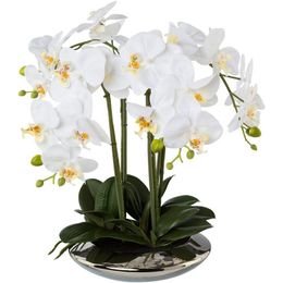 Kunstorchidee Deko-Orchidee Phalaenopsis in Keramikschale Orchidee Phalenopsis, Creativ green, Höhe 41 cm, weiß