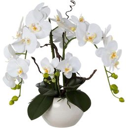 Kunstorchidee Phalaenopsis, Creativ green, Höhe 55 cm, im Keramiktopf, weiß