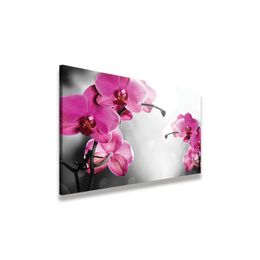 Wallarena Leinwandbild Blumen Orchidee Abstrakt Wohnzimmer Schlafzimmer Wandbild Modern