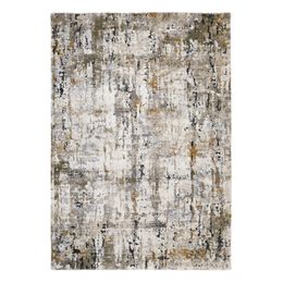 OCI Teppich CYRUS WALK (240 x 340 cm)
