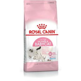 Mutter & Babycat Trockenfutter für Katzen, 4 kg, ausgewachsenes Geflügel - Royal Canin