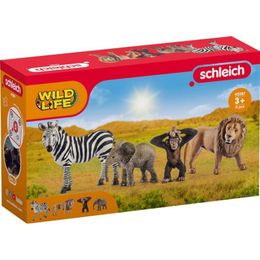 Schleich® Wild Life 42387 Starter-Set