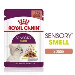 Royal Canin Sensory Smell in Soße für wählerische Katzen 12x85 g