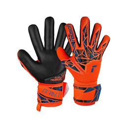 Reusch Torwarthandschuhe Attrakt Infinity NC TW-Handschuhe Kids Night Spark 2024