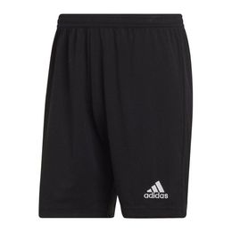 adidas Performance Sporthose Entrada 22 Short