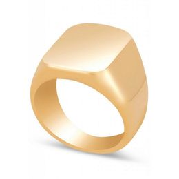 Akitsune Siegelring Iustitia Ring Gold EU 52