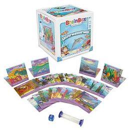 Carletto Brain Box Unterwasserwelt Geschicklichkeitsspiel