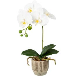 Kunstorchidee Orchidee Phalaenopsis im Keramiktopf, Creativ green, Höhe 36 cm, weiß