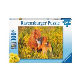 RAVENSBURGER VERLAG Puzzle XXL SHETLANDPONYS 100-teilig