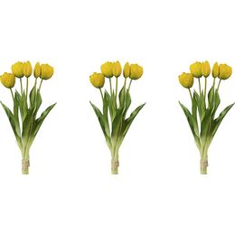 Gefüllte Tulpen, real touch, 5er-Bund - kaiserkraft