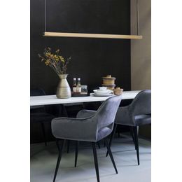 Esszimmerstuhl Woood "Jel" Stühle Gr. B/H/T: 60 cm x 80 cm x 57 cm, 2 St., Samtvelours, Metall, grau (grau, schwarz) Küchenstühle