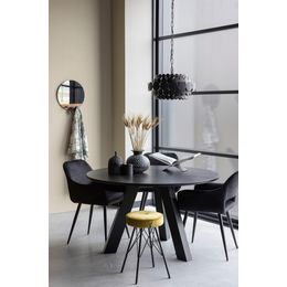 Esszimmerstuhl Woood "Jel" Stühle Gr. B/H/T: 60 cm x 80 cm x 57 cm, 2 St., Samtvelours, Metall, schwarz (schwarz, schwarz) Küchenstühle