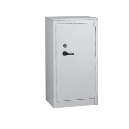 C+P Feuergeschützter Stahlschrank, gemäß DIN 4102, HxBxT 1226 x 650 x 500 mm, lichtgrau