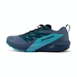 Salomon Sense Ride 5 GTX Herren