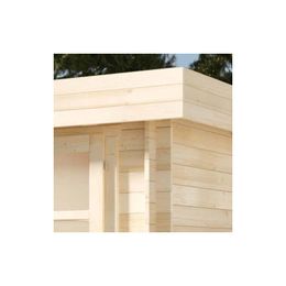 Alpholz Carlsson Gartenhaus Modern-E aus Holz Gartenhütte fsc zertifiziert Geräteschuppen, 28 mm Wandstärke, Imprägnierung (Pinie) - Naturbelassen