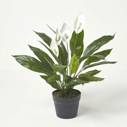 Homescapes - Kunstpflanze Spathiphyllum Wallisii, Friedenslilie mit weißen Blüten, 60 cm - Weiß und Grün