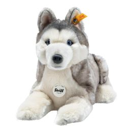 Steiff - Plüschtier BERNY HUSKY (33cm) in grau