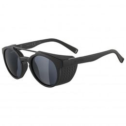 Alpina - Glace Mirror Cat. 3 - Sonnenbrille grau