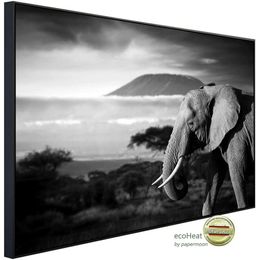 papermoon Infrarotheizung Elefant mit Landschaft Schwarz Weiß, sehr angenehme Strahlungswärme, bunt