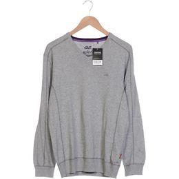 QS designed by Herren Pullover, grau