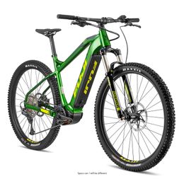 Fuji Ambient Evo 29 1.3 E Bike Damen Herren ab 165 cm Pedelec 29 Zoll Hardtail Mountainbike Bosch