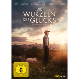 Studiocanal Die Wurzeln des Glücks (DVD)