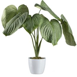 Künstliche Zimmerpflanze Hosta-Busch im Keramiktopf, Creativ green, Höhe 65 cm, grün