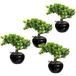 Bonsai Lärche - kaiserkraft