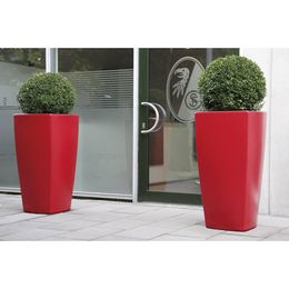 DEGARDO Pflanzbehälter, TREVIA IV, HxBxT 900 x 470 x 470 mm, rubinrot