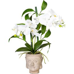 Orchideen-Bambus Arrangement - kaiserkraft