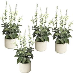 Salvie im Zementtopf, VE 4 Stk, Höhe 450 mm, Blüten weiß kaiserkraft