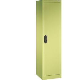 C+P ACURADO Universalschrank, BxT 500 x 500 mm, viridingrün / viridingrün