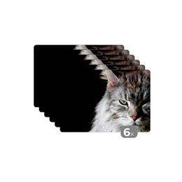 MuchoWow Platzset, Porträt einer graufarbigen Maine Coon Katze