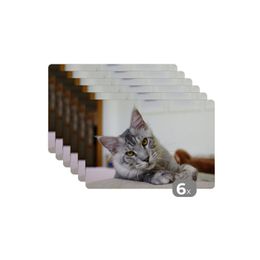 MuchoWow Platzset, Eine liegende graue Maine Coon Katze